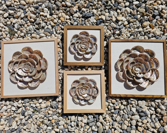 Abalone Shell Art, Abalone Shell Frame, Real Shell Art, Shell Flower ...