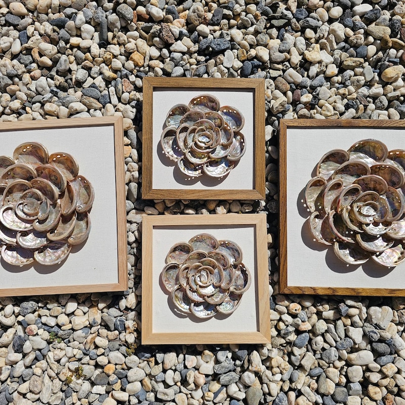 Shell Art - Etsy
