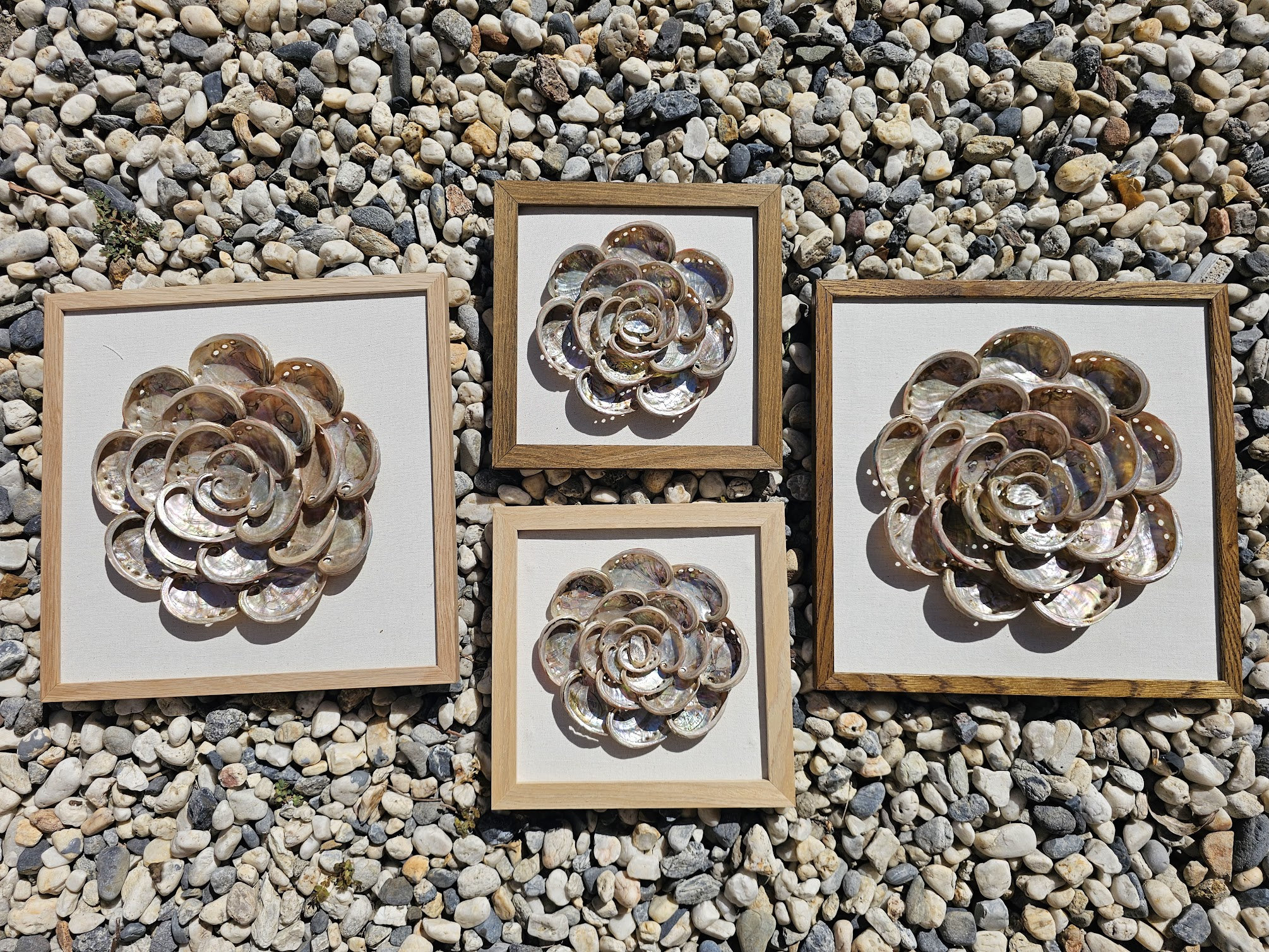 Abalone Shell Art, Abalone Shell Frame, Real Shell Art, Shell Flower ...