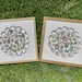 Abalone Shell Art, Red Abalone Shell, Shell Art Print, Framed Shell Art ...