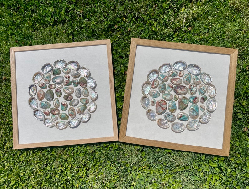 Abalone Shell Art, Red Abalone Shell, Shell Art Print, Framed Shell Art ...