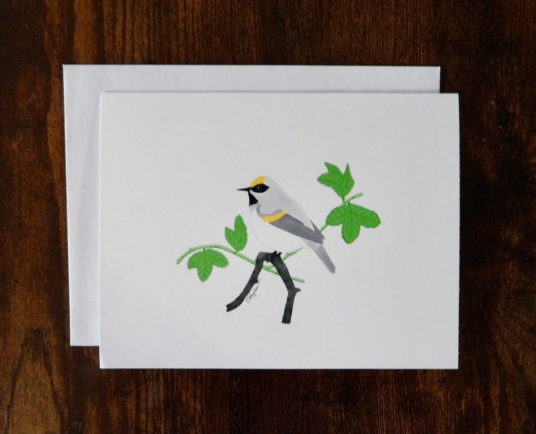 Bird Note Card Set | Golden-winged Warbler Illustration | 8 Greeting ...