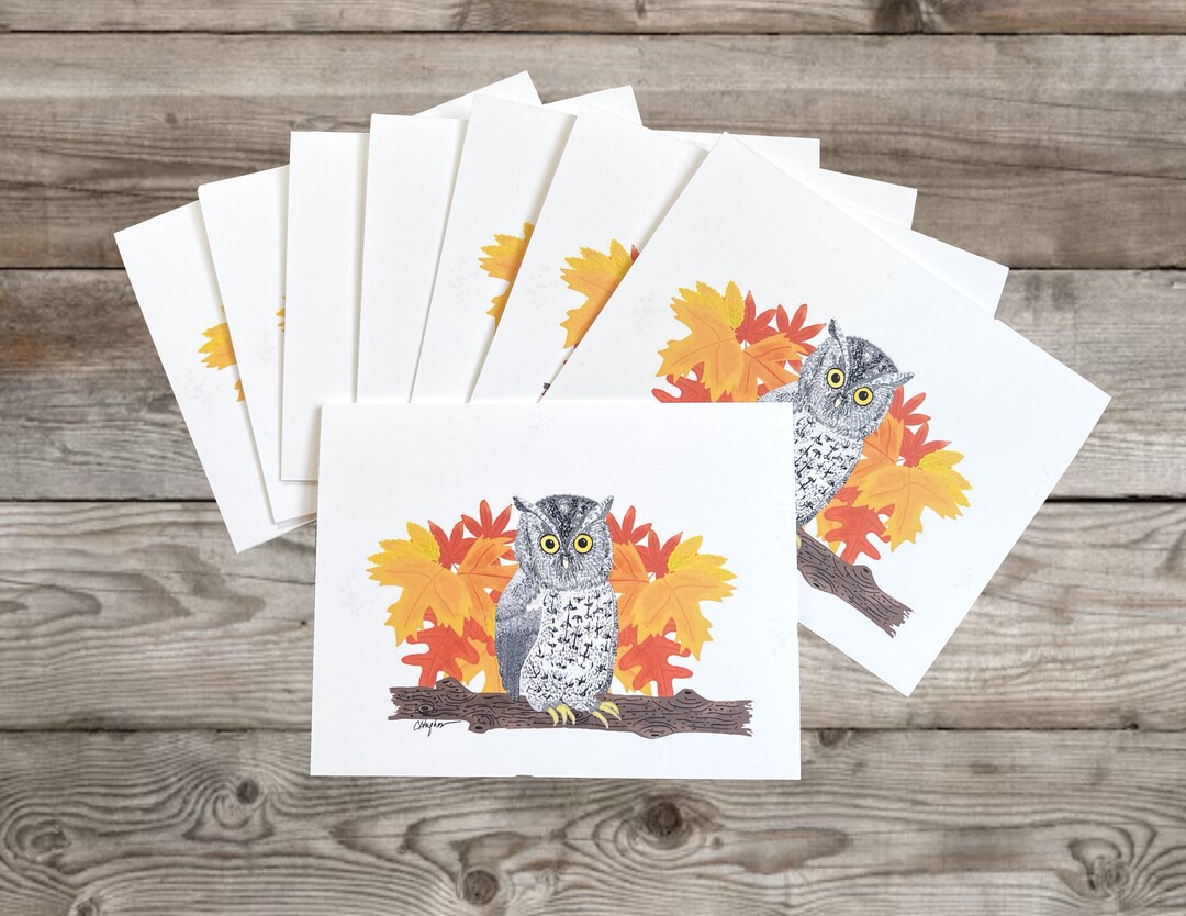 Owl Note Card Set | Original Eastern Screech Owl Art | 8 Blank Greeting ...