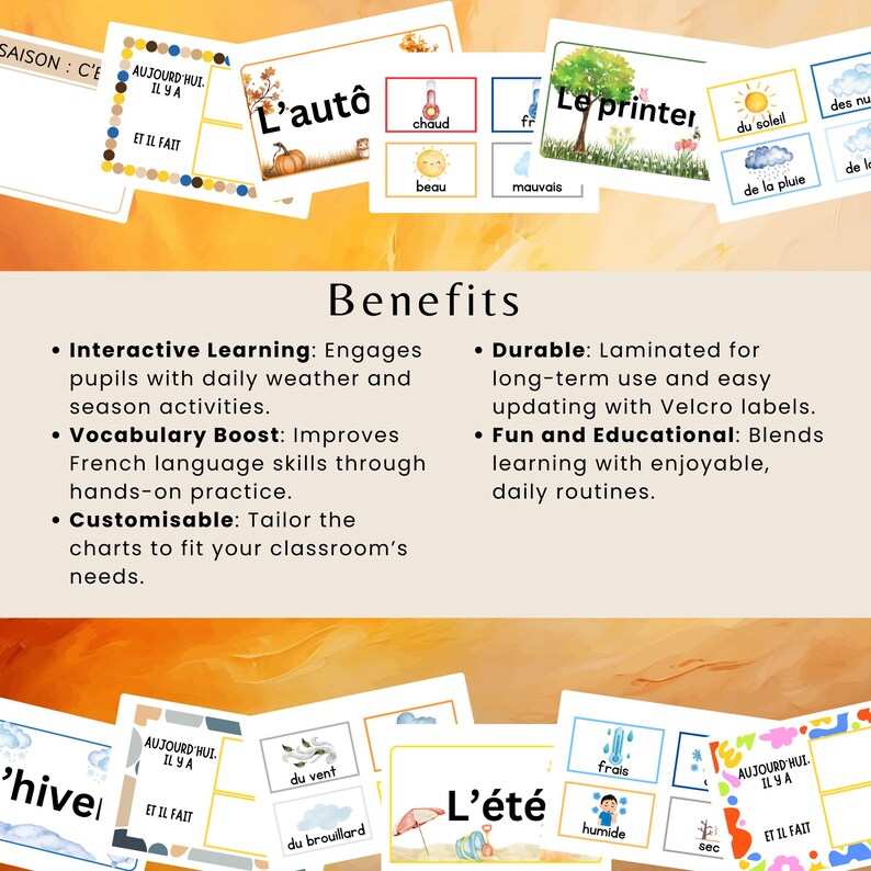 Customisable French Weather & Seasons Chart for Kids Interactive ...