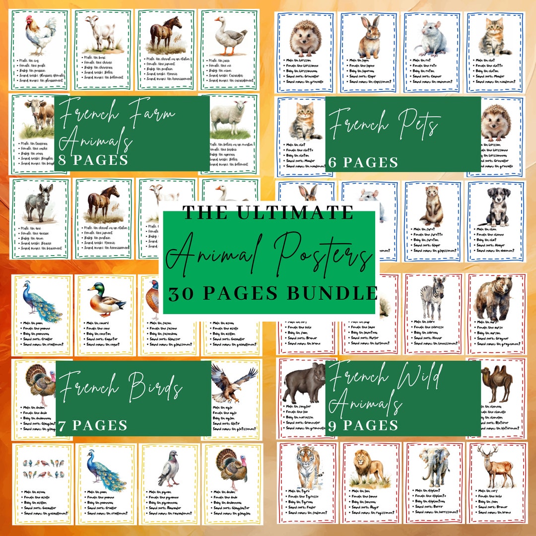 Complete French Animal Posters Bundle 30 Educational Posters for Kids ...
