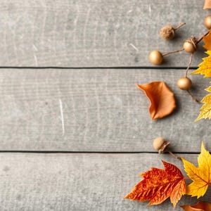 Rustic Autumn Leaves Background: Fall Decor Digital Images (PNG) - Etsy