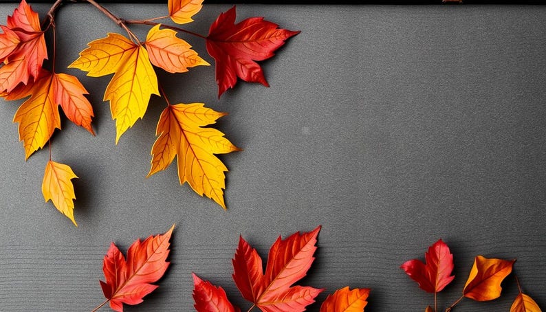 Rustic Autumn Leaves Background: Fall Decor Digital Images (PNG) - Etsy