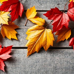 Rustic Autumn Leaves Background: Fall Decor Digital Images (PNG) - Etsy