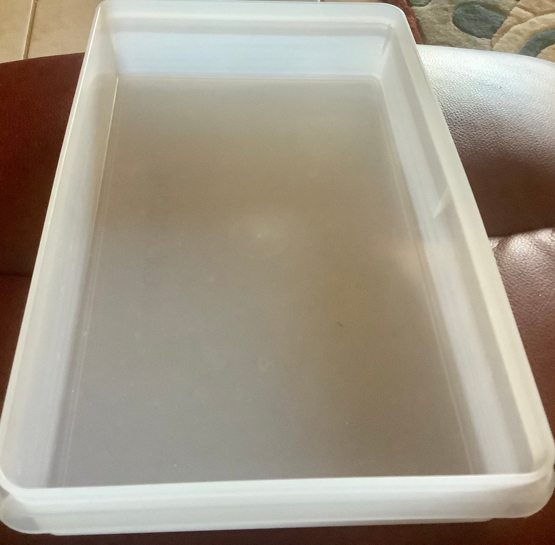 Vintage Tupperware White Rectangular Container No Lid as Pictured ...