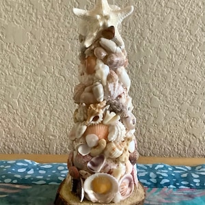 Sea Shell Art Tree Home Decoration | 6.5 Inches Tall | Shells Collected ...