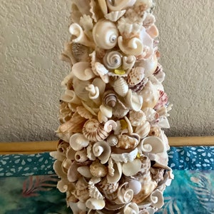 Sea Shell Art Tree Home Decoration 15 Inches Tall Shells - Etsy