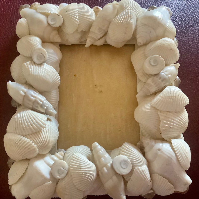 Shell Frame - Etsy