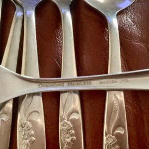 Vintage Oneida Stainless Floral Pattern Flatware | 10 Piece as Pictured ...