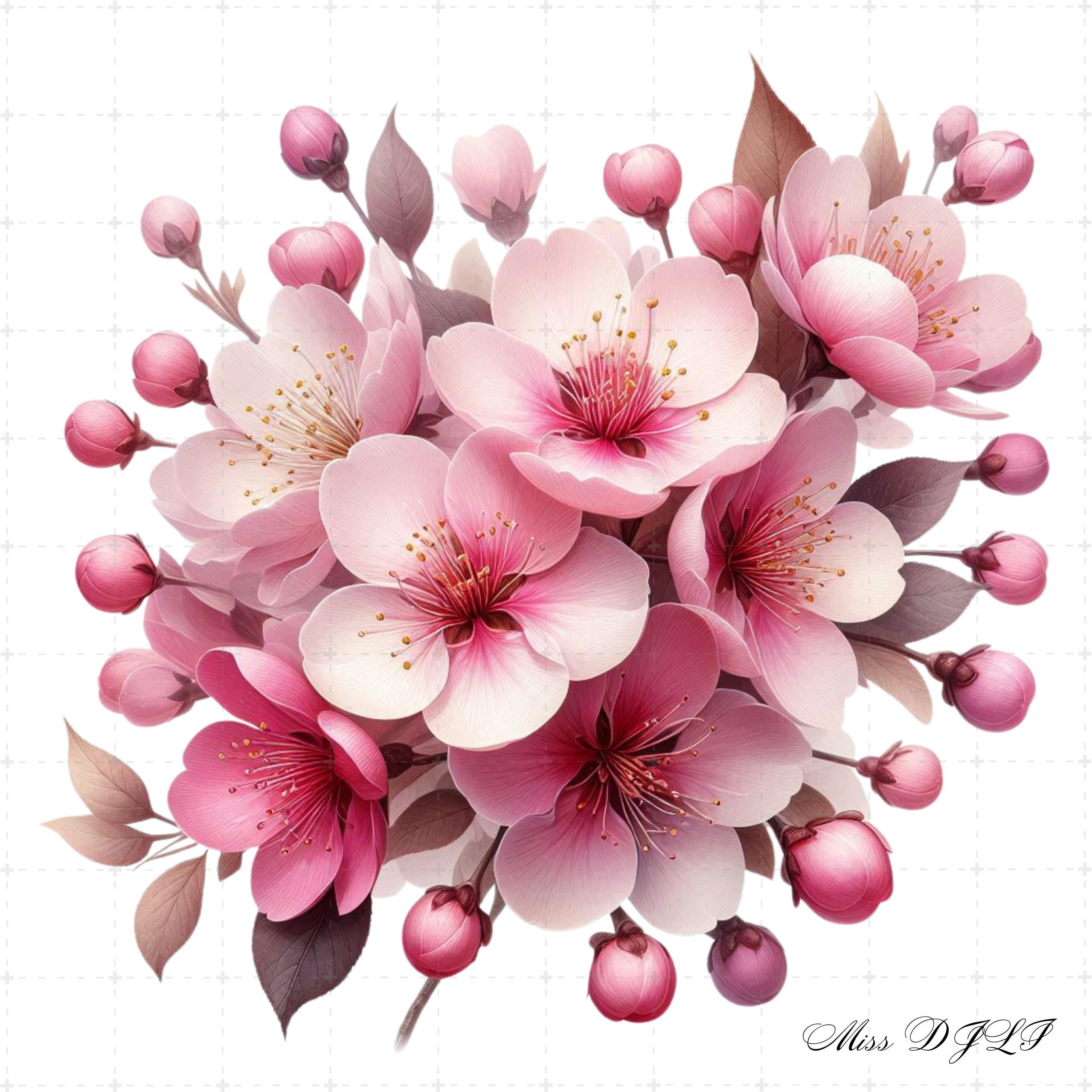 Pink Cherry Blossom Clipart Set – Floral Spring PNG (digital Download ...
