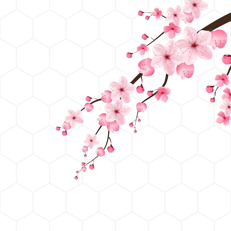 Pink Cherry Blossom Clipart Set – Floral PNG Bundle (digital Download ...