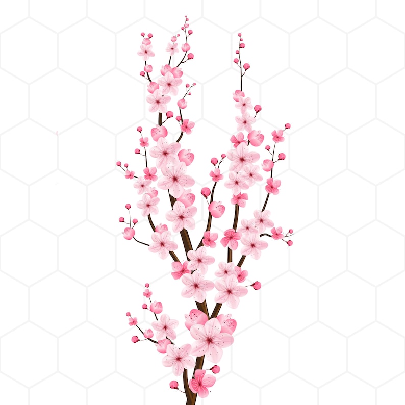 Pink Cherry Blossom Clipart Set – Floral PNG Bundle (digital Download ...
