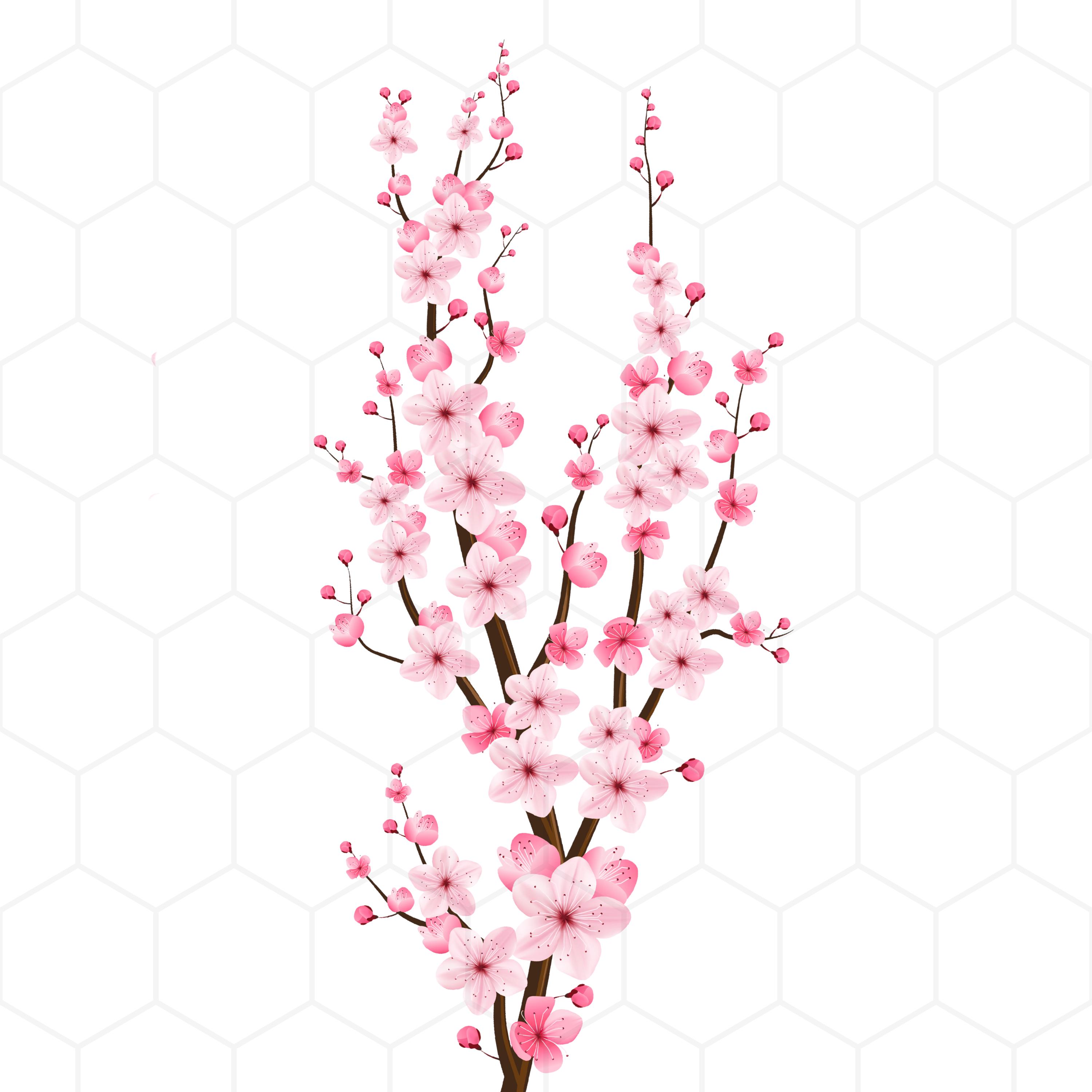 Pink Cherry Blossom Clipart Set – Floral PNG Bundle (digital Download ...