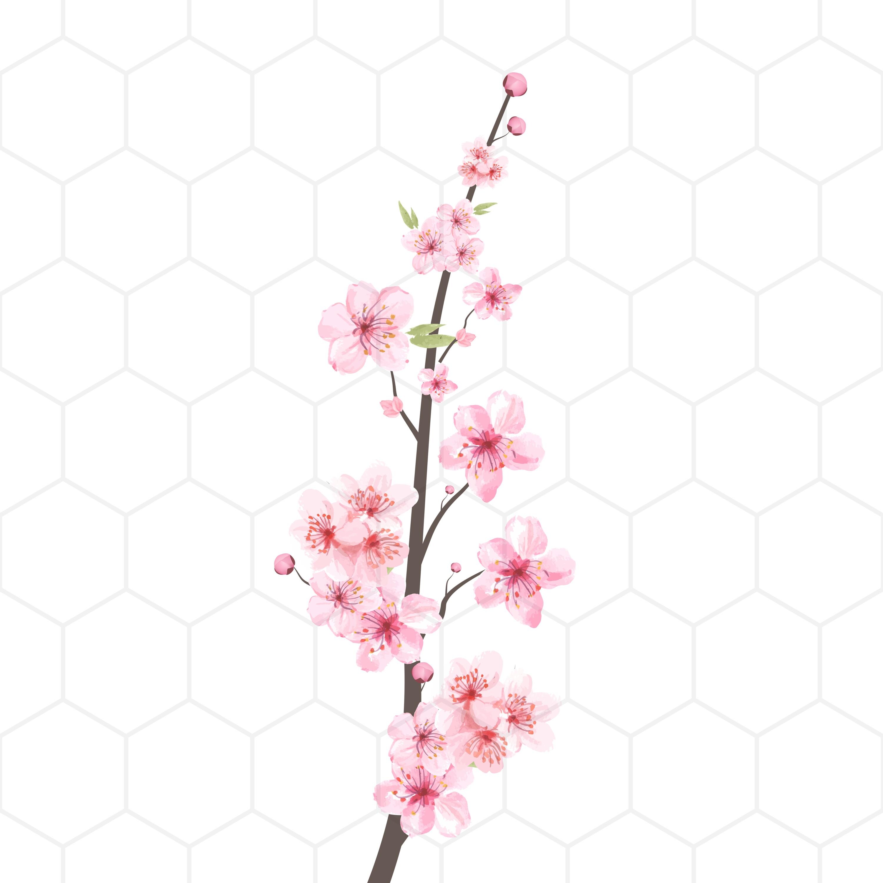Pink Cherry Blossom Clipart Set – Floral PNG Bundle (digital Download ...