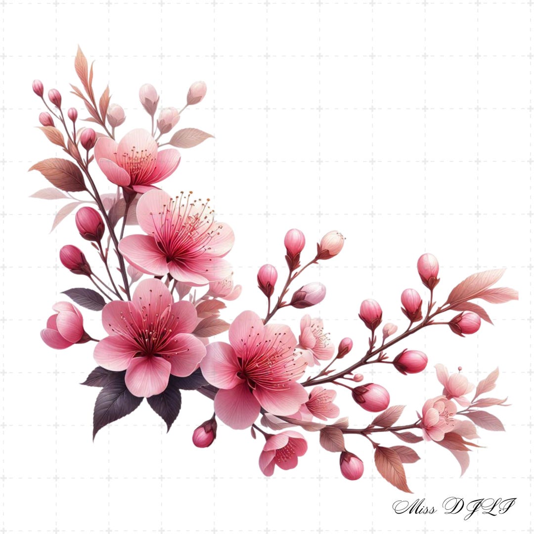 Pink Cherry Blossom Clipart Set – Floral Spring PNG (digital Download ...