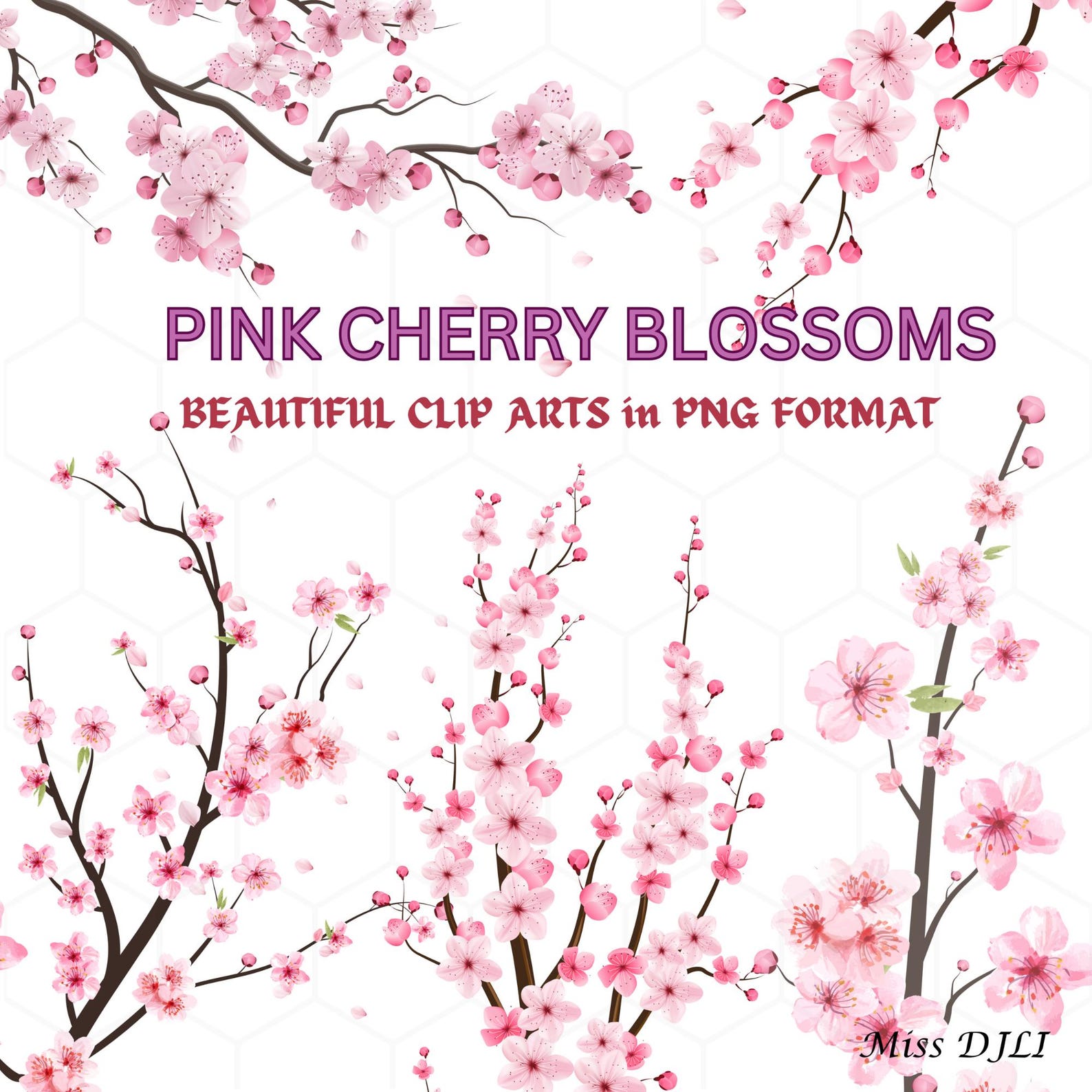Pink Cherry Blossom Clipart Set – Floral PNG Bundle (digital Download ...