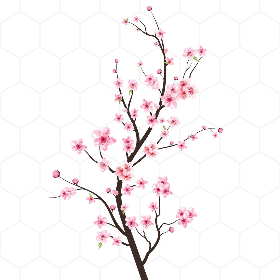 Pink Cherry Blossom Clipart Set – Floral Spring Bundles, Background ...