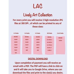 Multicolor Flowers - Daisies - Pink Yellow Green and Blue Colors - Set ...