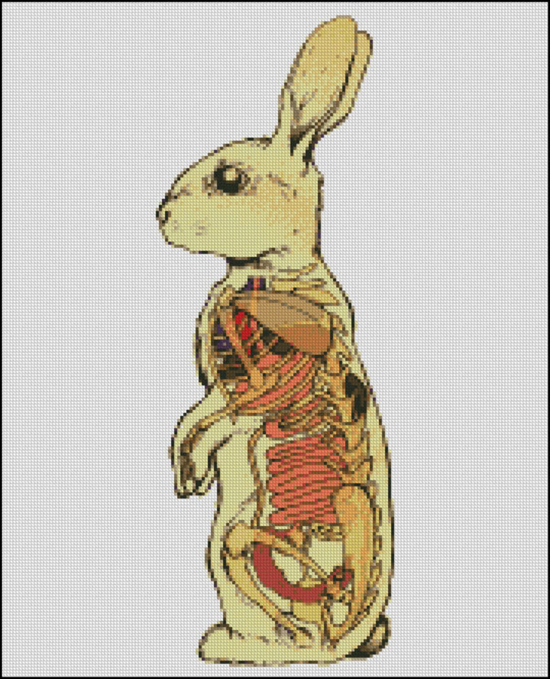 Vintage Rabbit Anatomical Cross Stitch Pattern No.232 - Etsy