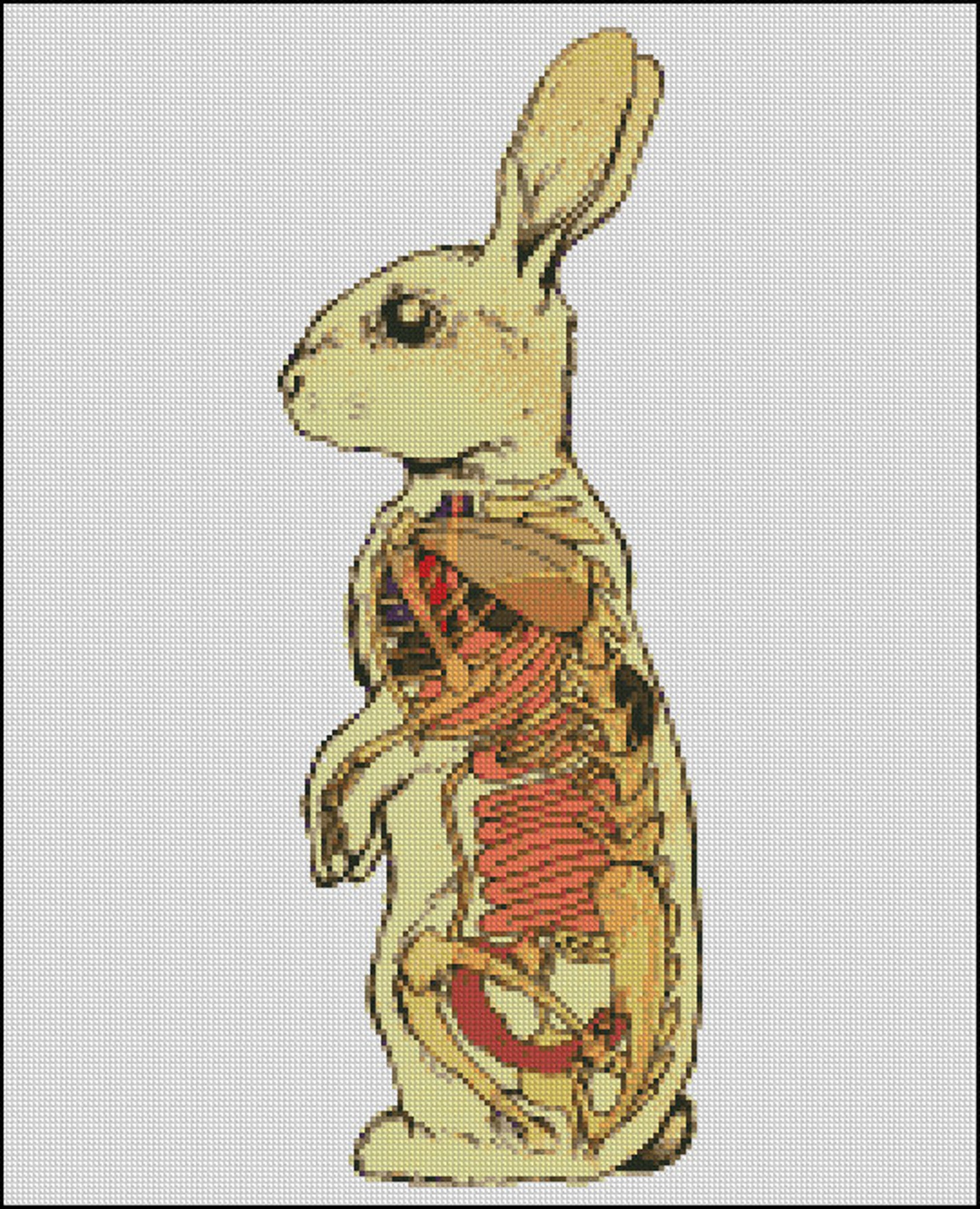 Vintage Rabbit Anatomical Cross Stitch Pattern No.232 - Etsy