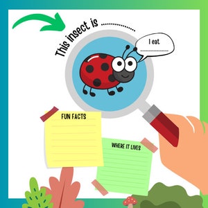 Learning Nature Activity Workbook Insect Educational Printable Coloring ...