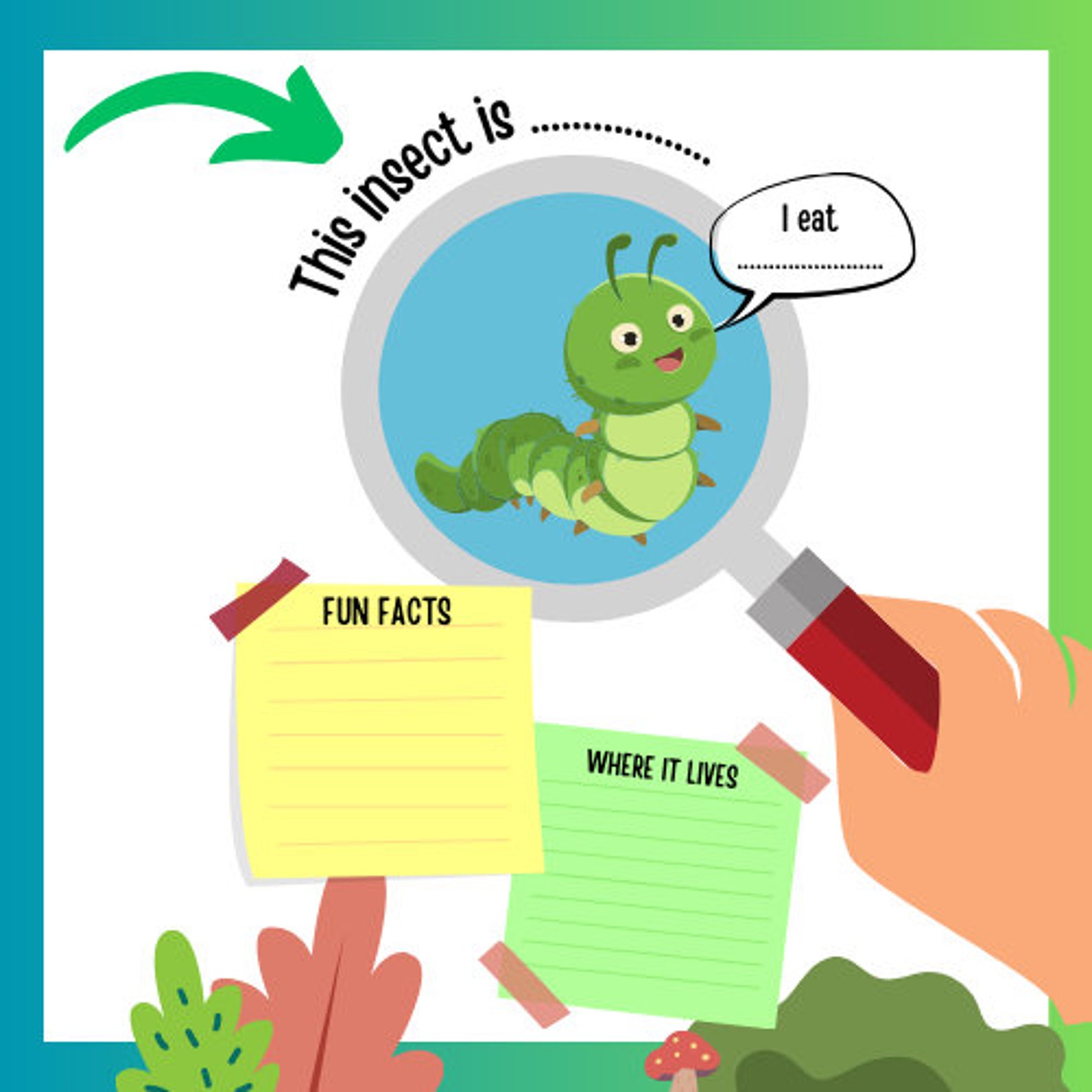 Learning Nature Activity Workbook Insect Educational Printable Coloring ...