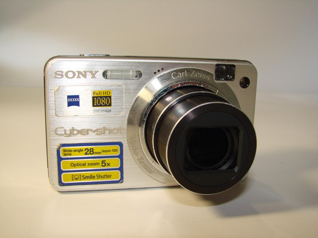 Sony Cyber Shot DSC-W170 10.1 MP 5.0x Zoom Digital Camera Silver Color Great Condition With ...