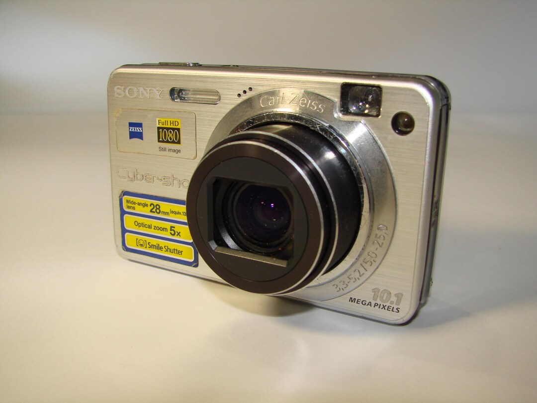 Sony Cyber Shot DSC-W170 10.1 MP 5.0x Zoom Digital Camera Silver Color Great Condition With ...