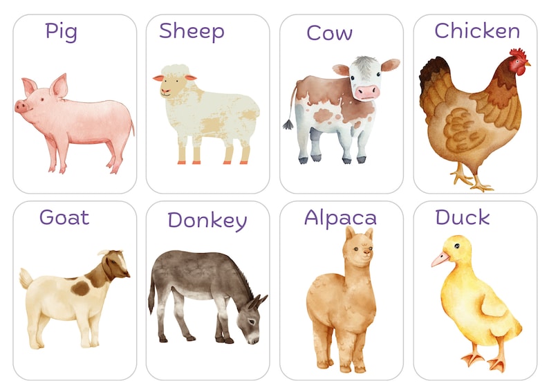 Animal Vocab Flashcards for Preschoolers - Etsy