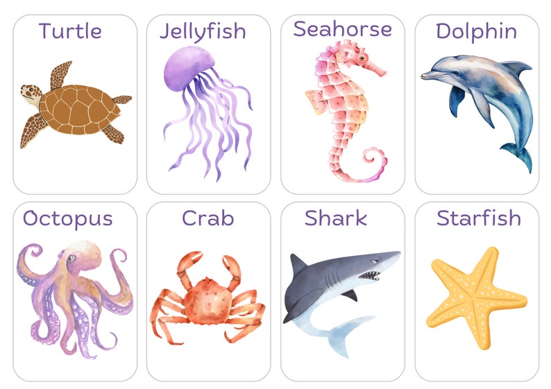 Animal Vocab Flashcards for Preschoolers - Etsy