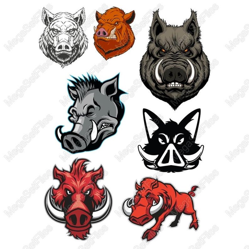 Fierce Boar Mascot SVG PNG Bundle Wild Animal Illustrations for Sports ...