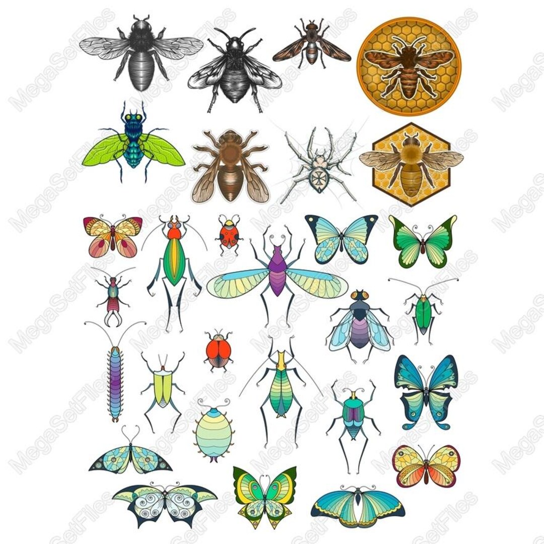 Colorful Insect Clipart Set - Nature Themed SVG & PNG | Vibrant Bugs ...