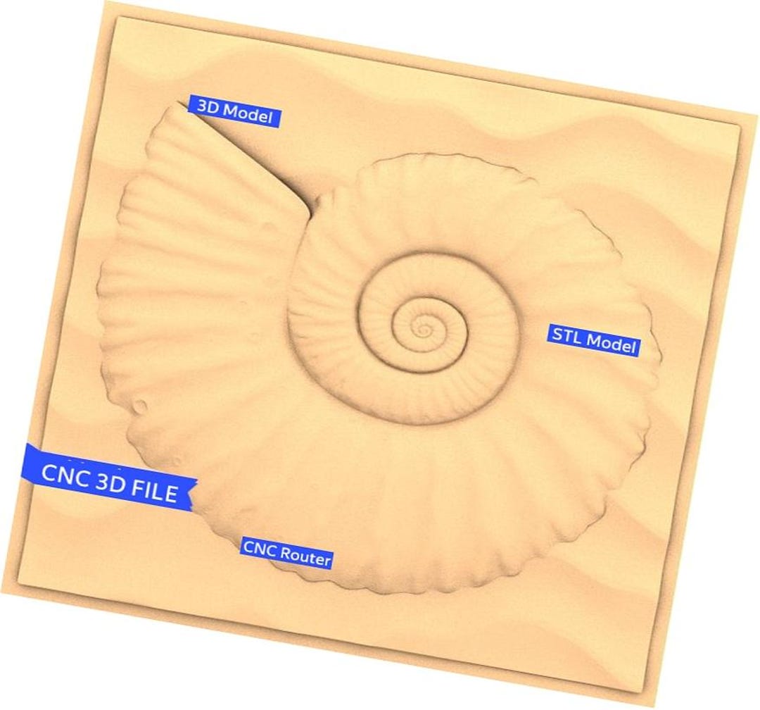 Nautilus Spiral Panel STL 3D Relief for CNC, Seashell Wall Panel - Etsy UK