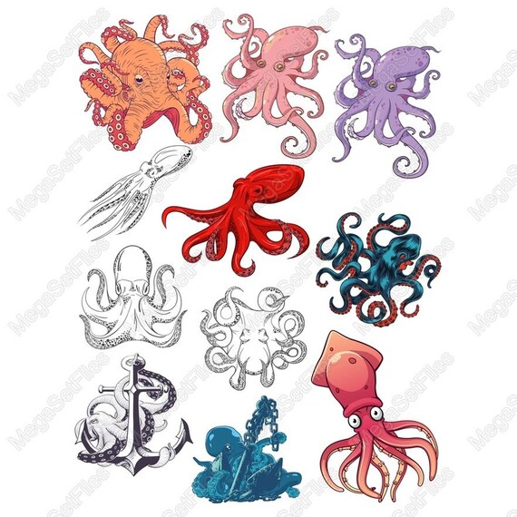Pulpo Y Calamar Bonvivante Pulpo Vs Calamar. ¿Cuál Le Apetece