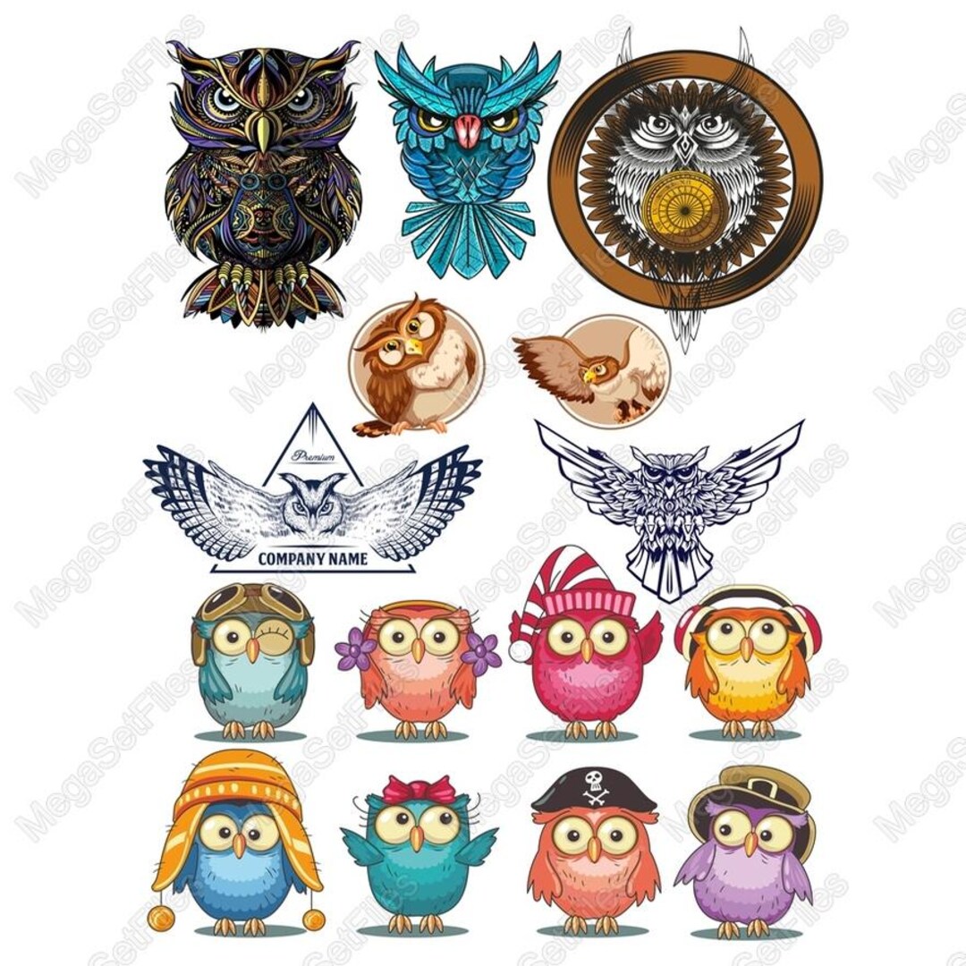 Colorful Owl Clipart Set in SVG, PNG | Whimsical and Vintage Owl ...