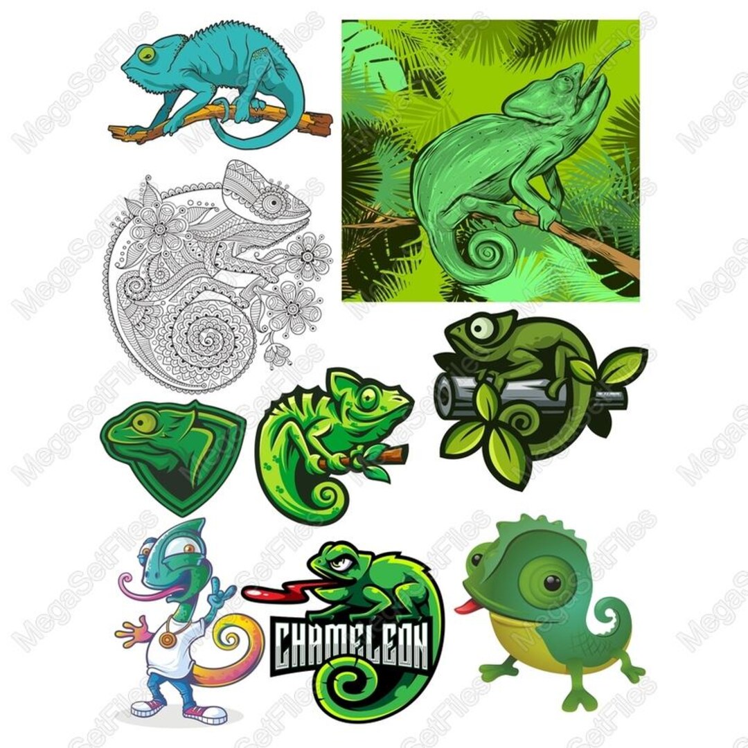 Vibrant Chameleon Clipart Set SVG PNG | Tropical Jungle Animal Graphics ...