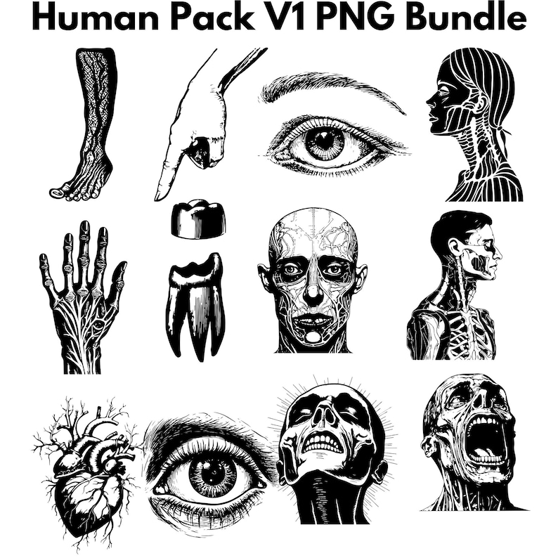 Human Pack V1 PNG Bundle | High-quality Transparent PNG Files for T ...