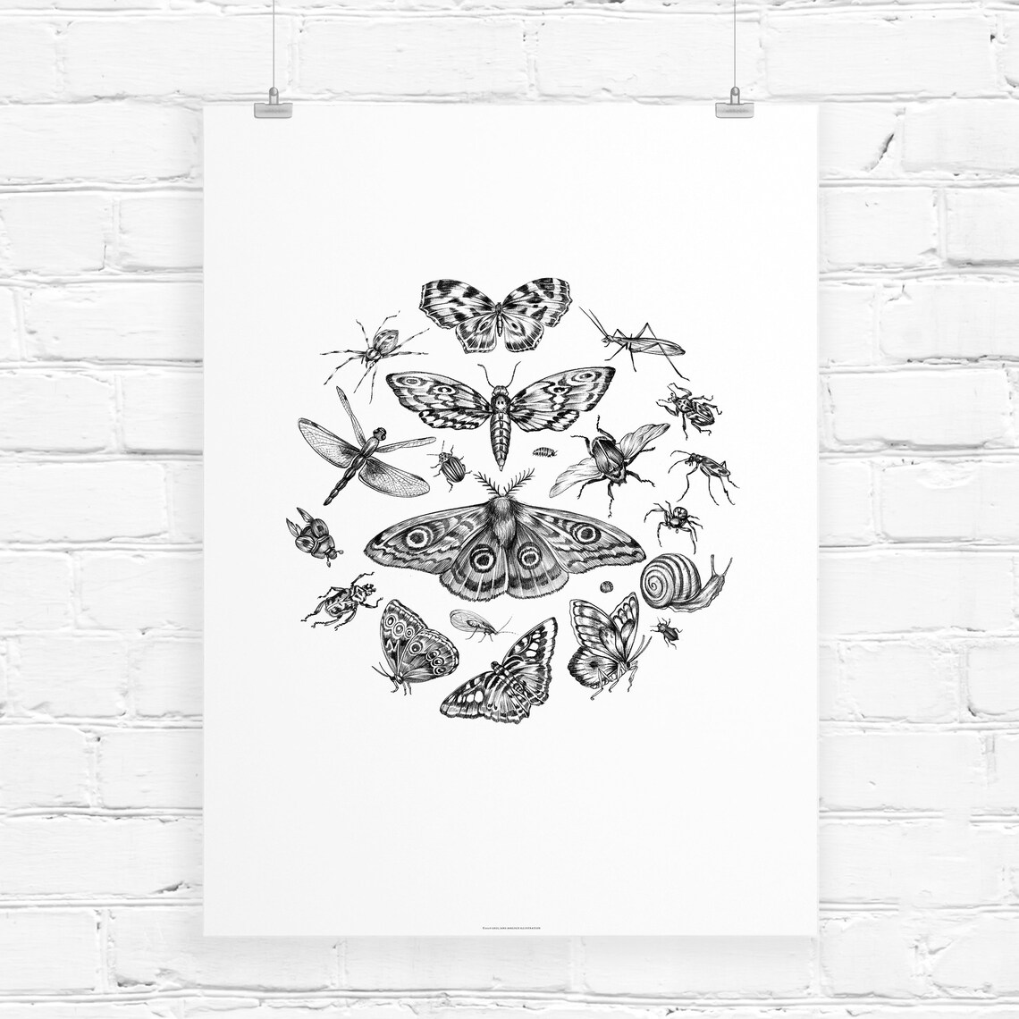 Bug Collection Art Print Home Decor Wall Art Wall - Etsy
