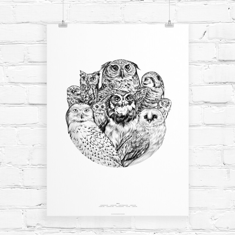Owls Collection Circle Art Print Home Decor Wall Art - Etsy