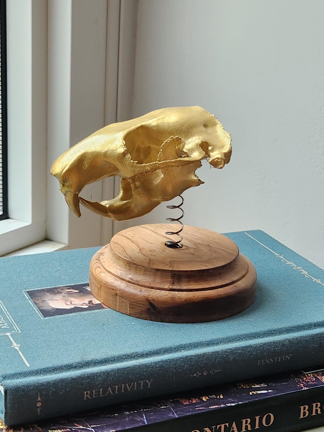 Gold Beaver Skull Bobblehead Desk Toy - Unique Gothic Decor - Etsy