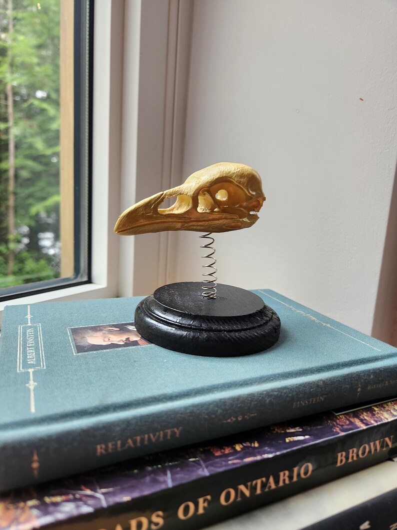 Gold 3D Printed Crow Skull Desk Toy - Spring-mounted Gothic Decor - Etsy