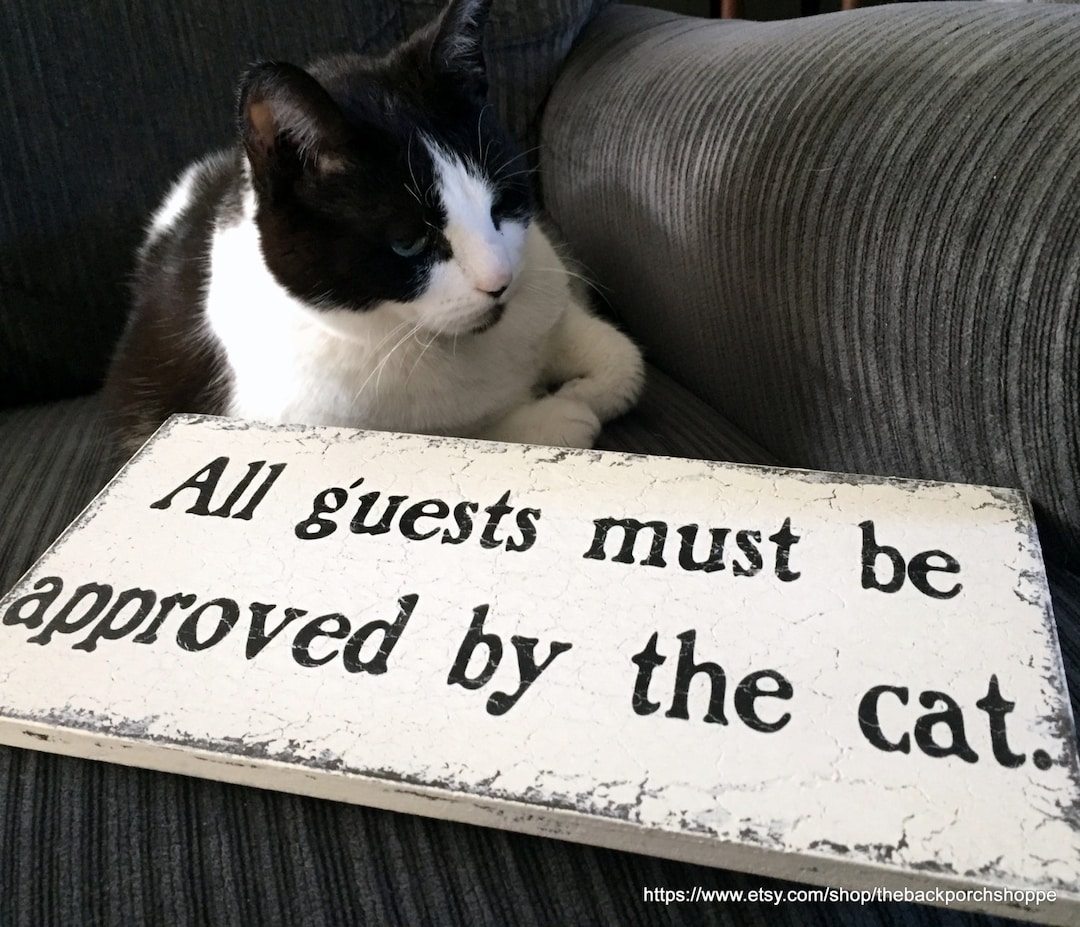 CAT SIGNS, Cats, Pet Signs, All Guests Must Be Approved by the Cat, 5.5 ...