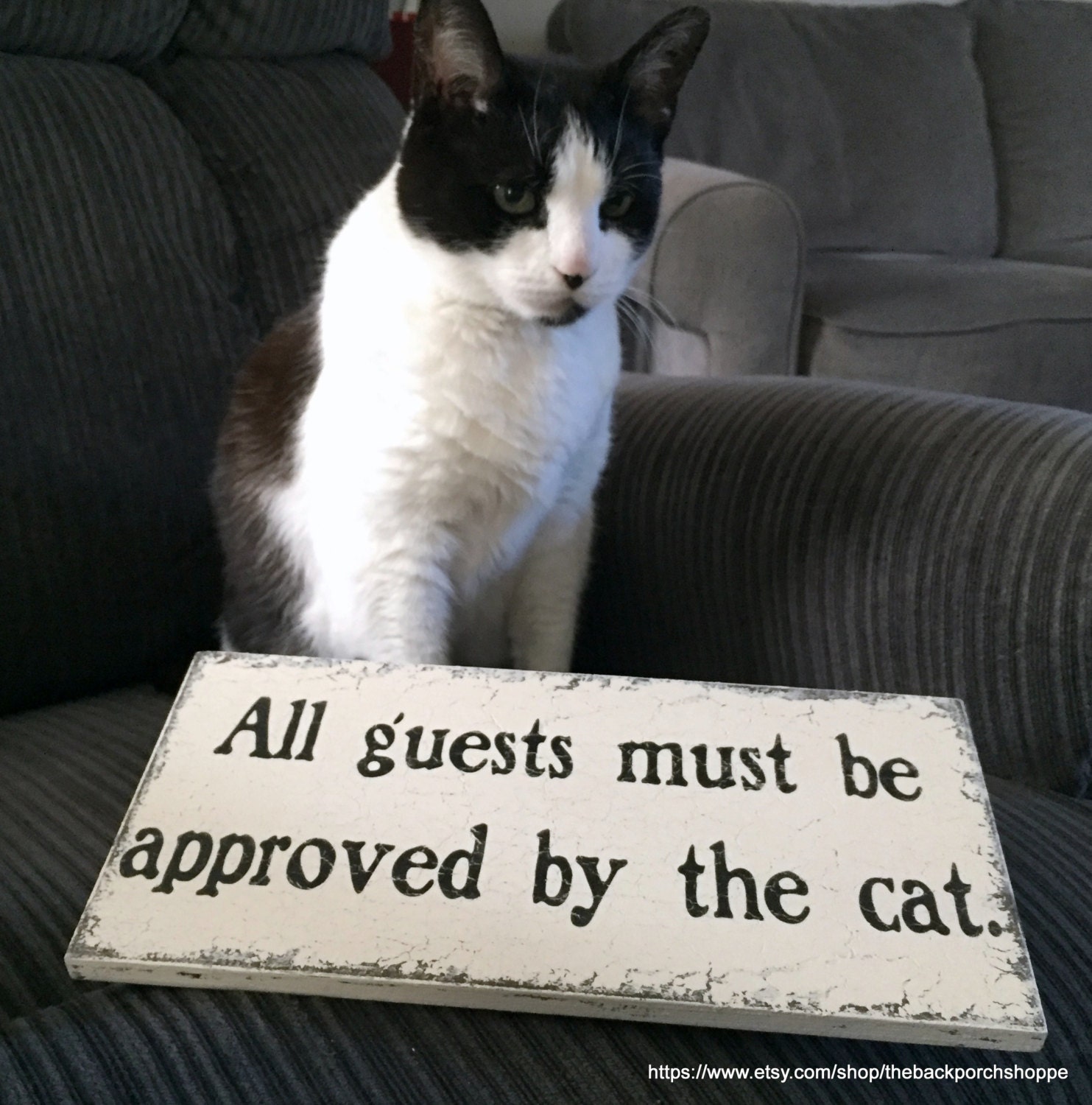 CAT SIGNS Cats Pet Signs All Guests Must Be Approved by the | Etsy