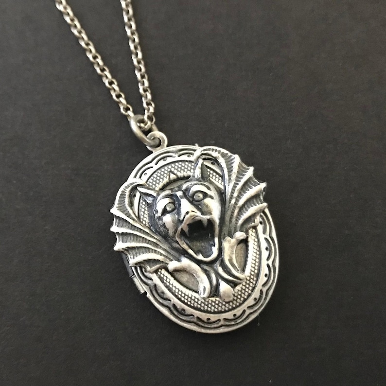 Gargoyle Oval Photo Locket Necklace Gothic Unisex Locket Creepy Vampire ...
