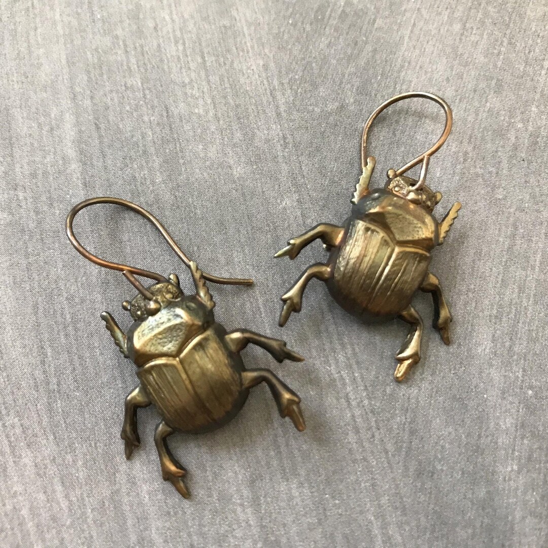 Beetle Earrings, Bug Earrings, Insect Earrings, Insect Jewelry, Bugs ...