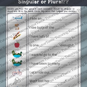 Singular or Plural Worksheet - Etsy
